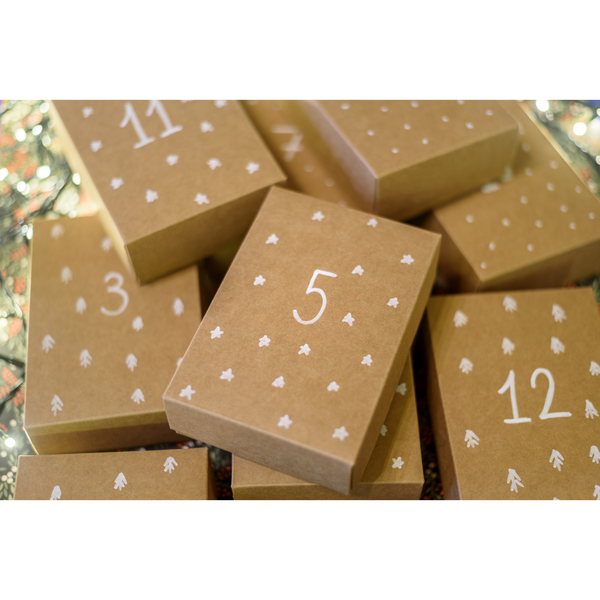 2025 Geocaching Advent Mystery Box - cache-advance